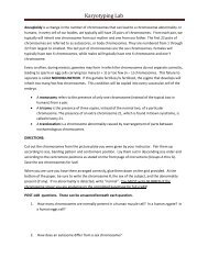 Format for AP Biology Lab Reports - Point Pleasant Beach