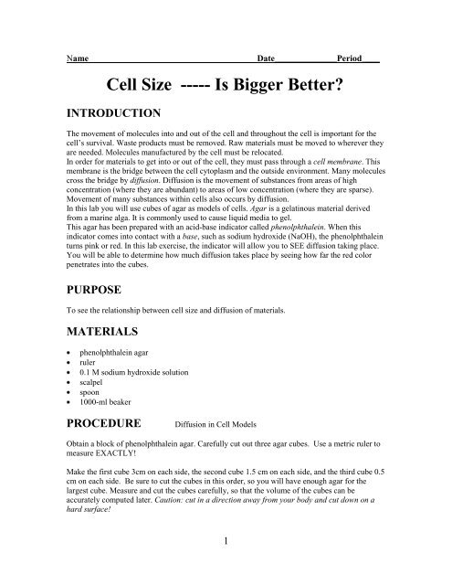 Cell Size Lab - Point Pleasant Beach