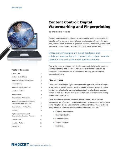 Content Control: Digital Watermarking and Fingerprinting - Digimarc