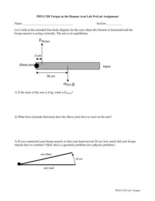 Torque and the Human Arm-Sp11