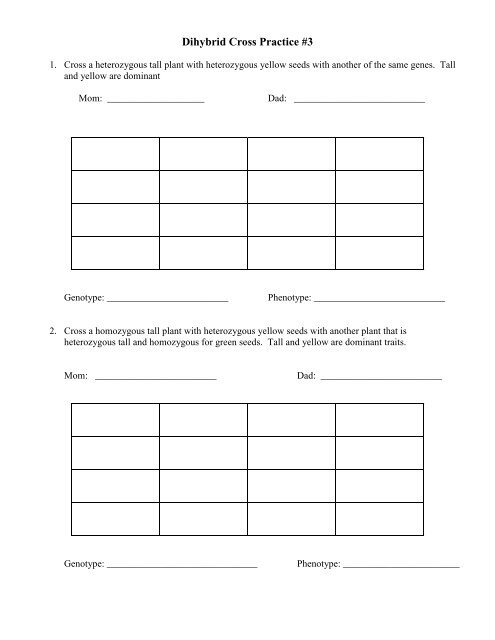 Dihybrid Cross Worksheet Peas Monohybrid Dihybrid Crosses Lesson Plans
