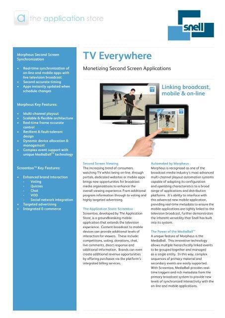 Brochure - Second Screen Viewing - Snell