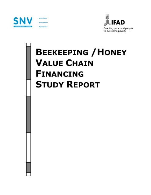 beekeeping /honey value chain financing study report - SNV