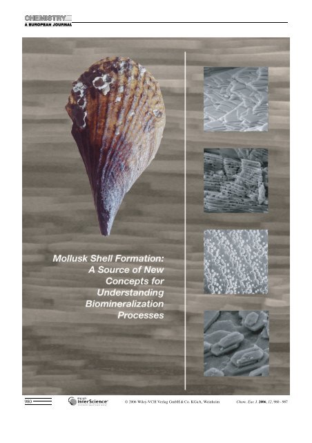 Mollusk Shell Formation: A Source of New Concepts - Wiley Online ...