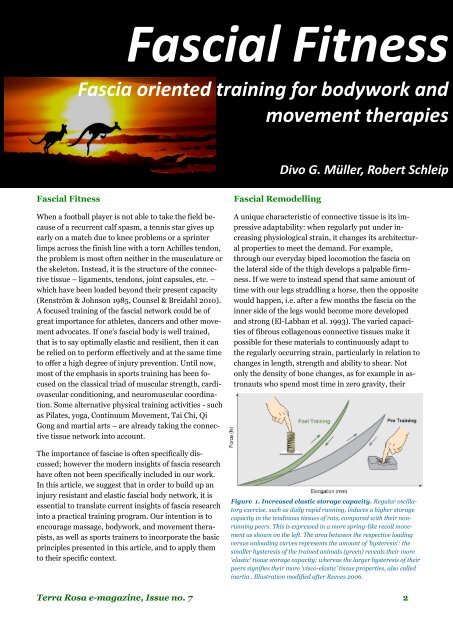 Fascia oriented training for bodywork and movement therapies