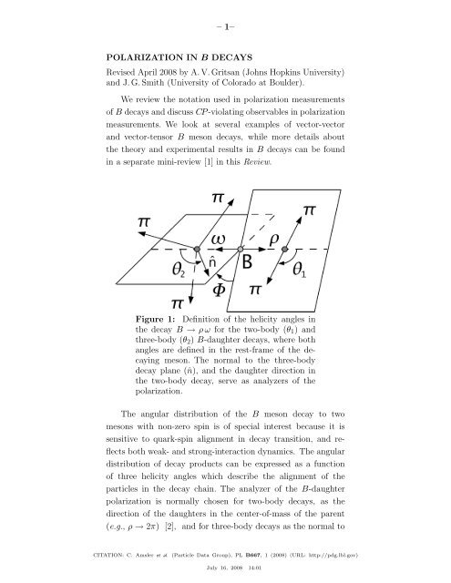 Polarization in B Decays - Particle Data Group