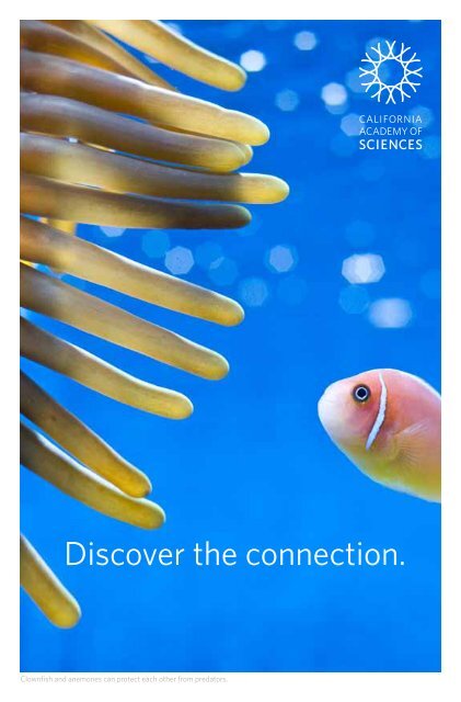 Discover the connection. - California Academy of Sciences