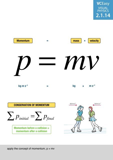 VCEasy VISUAL PHYSICS 2.1