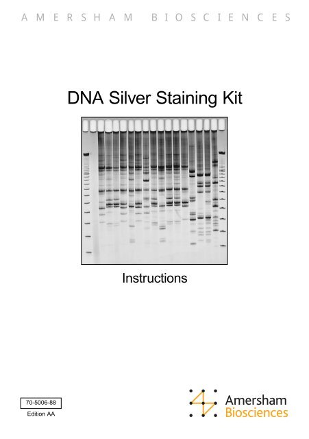 DNA Silver Staining Kit - GE Healthcare Life Sciences