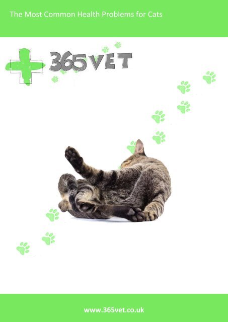 The Most Common Health Problems for Cats