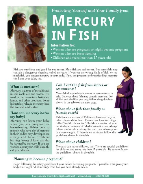 Mercury Fact Sheet (English)