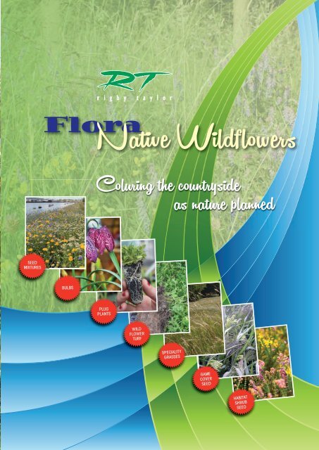 Flora Native Wildflowers