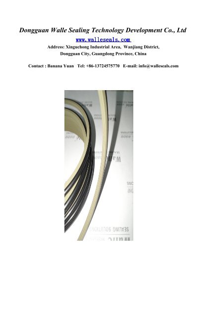 Turcon Roto Glyd Ring-Turcon Stepseal K-Trelleborg Sealing