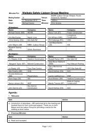Site Specific Safety Plan pdf version - Site Safe