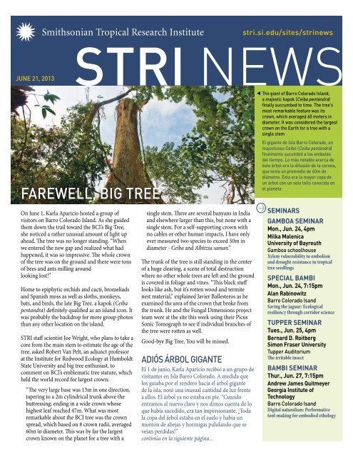 STRI News - Smithsonian Tropical Research Institute