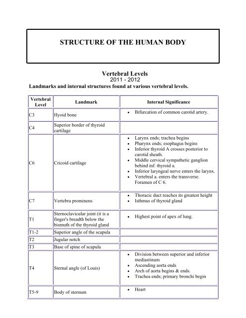 STRUCTURE OF THE HUMAN BODY Vertebral Levels