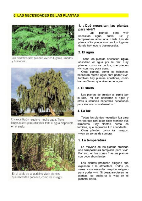 6. LAS NECESIDADES DE LAS PLANTAS 1 ... - Dolmen de Soto