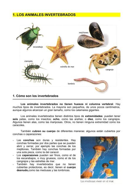 1. LOS ANIMALES INVERTEBRADOS - Dolmen de Soto