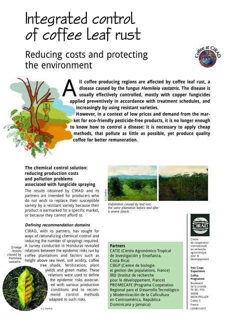 Integrated control of coffee leaf rust - Cirad