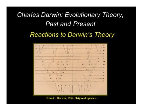 Reactions to Darwin's Theory Charles Darwin: Evolutionary Theory ...