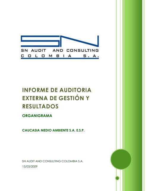 informe de auditoria externa de gestiÃ³n y resultados organigrama