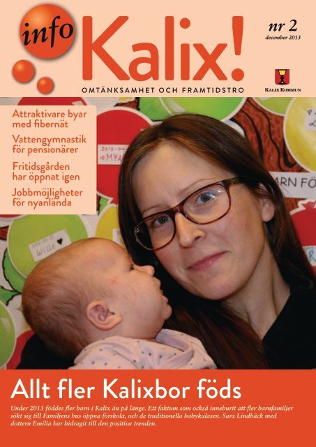 INFO KALIX #2 2013