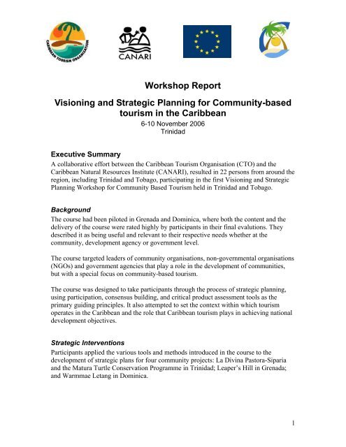 Workshop Report Visioning and Strategic Planning - Caribbean ...