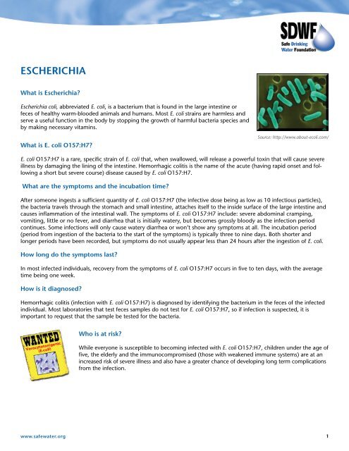 Escherichia E. coli - Safe Drinking Water Foundation