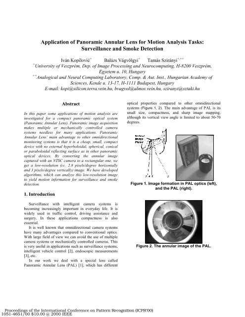 Application of Panoramic Annular Lens for Motion Analysis Tasks