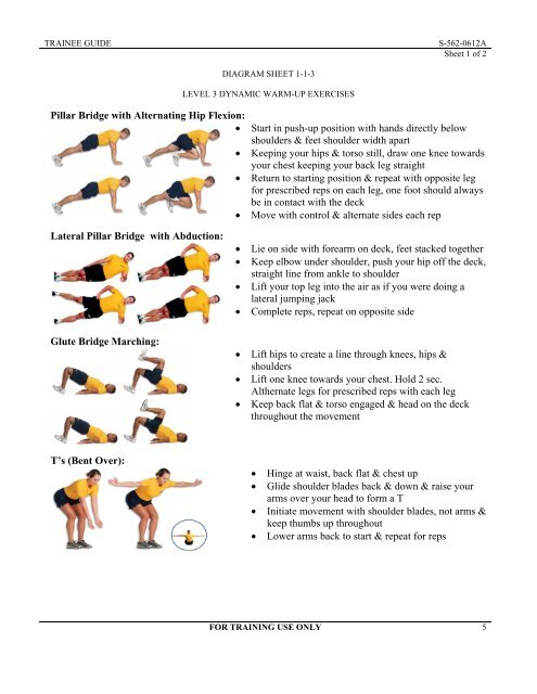 Pillar Bridge with Alternating Hip Flexion: â ¢ Start in push-up ...