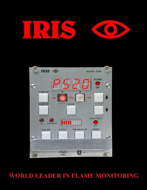 FLAME MONITORING SYSTEM