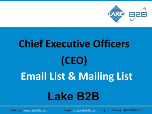 CEO Email Lists has customized information for clients