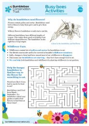 About bumblebees factsheet - Bumblebee Conservation Trust