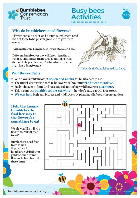 Busy bees (7-10) Activity sheet 2 - Bumblebee Conservation Trust