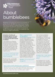 big8 - Bumblebee Conservation Trust