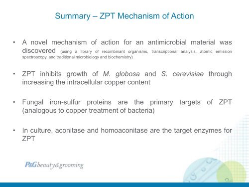 Summary – ZPT Mechanism
