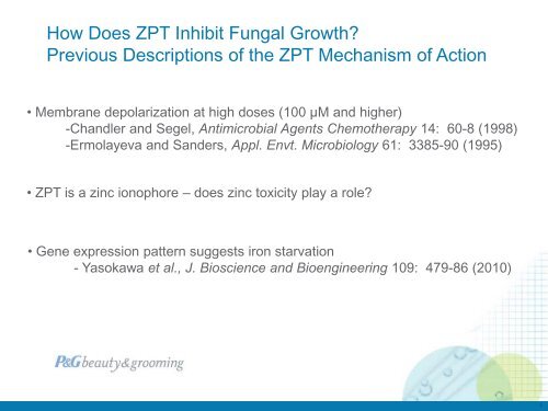 How Does ZPT Inhibit Fung