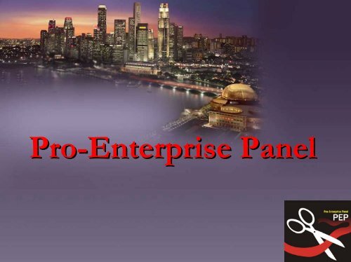 Pro-Enterprise Panel (PEP) - Singapore Customs