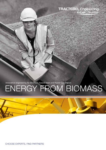 ENERGY FROM BIOMASS - Tractebel Engineering