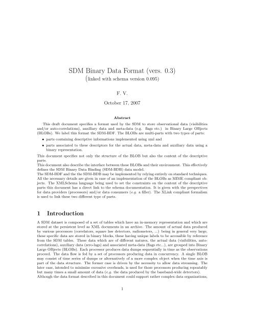 Sdm Binary Data Format