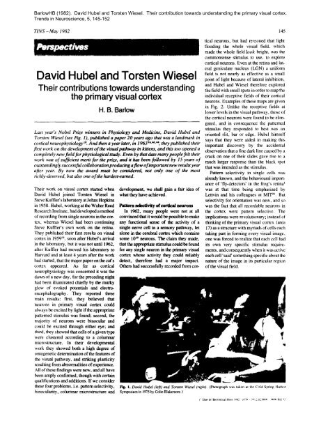 David Hubel and Torsten Wiesel