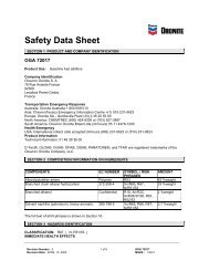 SAFETY DATA SHEET Solvent 60 - IQ Logistics