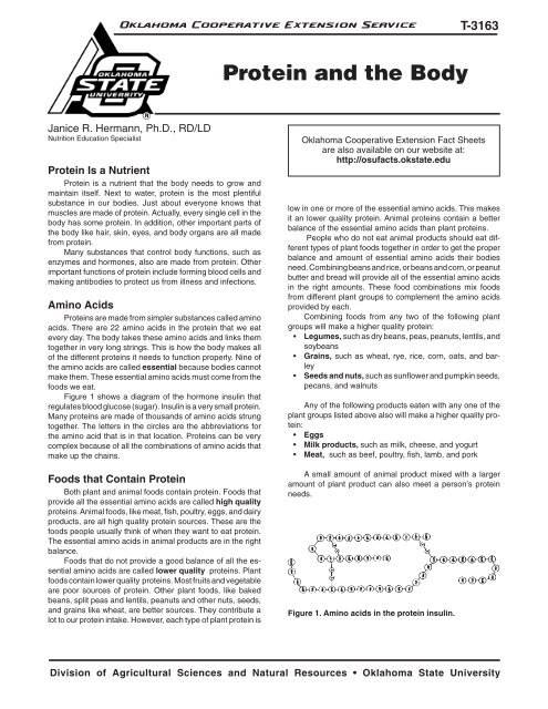 Protein and the Body - OSU Fact Sheets - Oklahoma State University