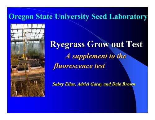 Ryegrass Grow out Test - International Seed Testing Association