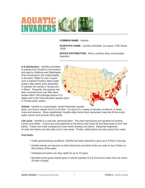 AQUATIC INVADERS A Sea Grant/AZA Partnership 1 HyDRIllA ...