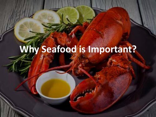 Why Seafood is Important?