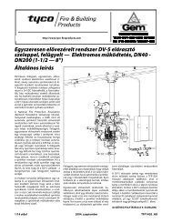 Preaction System with Model DV-5 Deluge Valve - Tyco Fire Products