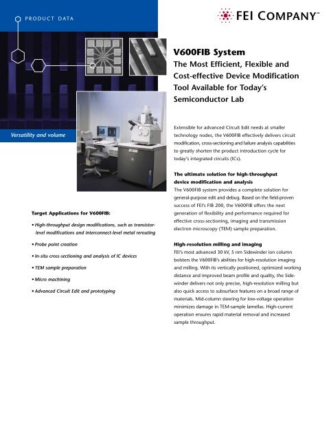 V600FIB System - FEI