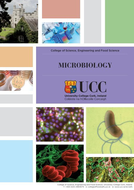 Microbiology Brochure - University College Cork