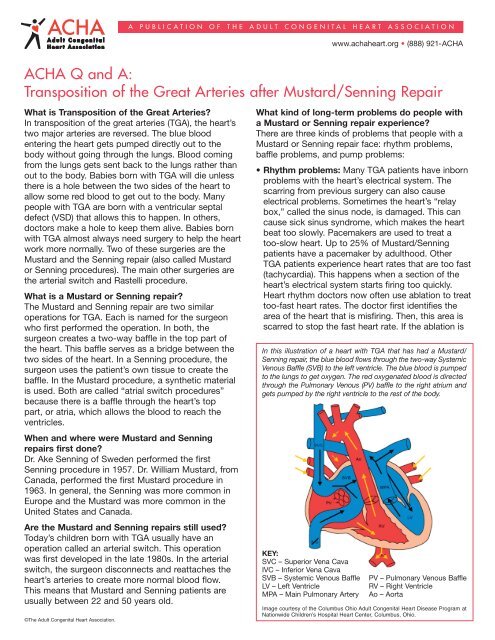 Transposition Of The Great Arteries Repair HIE Multimedia